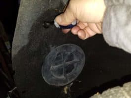 MINI R56 Service Position - 2006-2013 Cooper - All Models